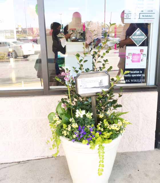 T-Mobile has the Winning First Impression | Greater Hidden Hills